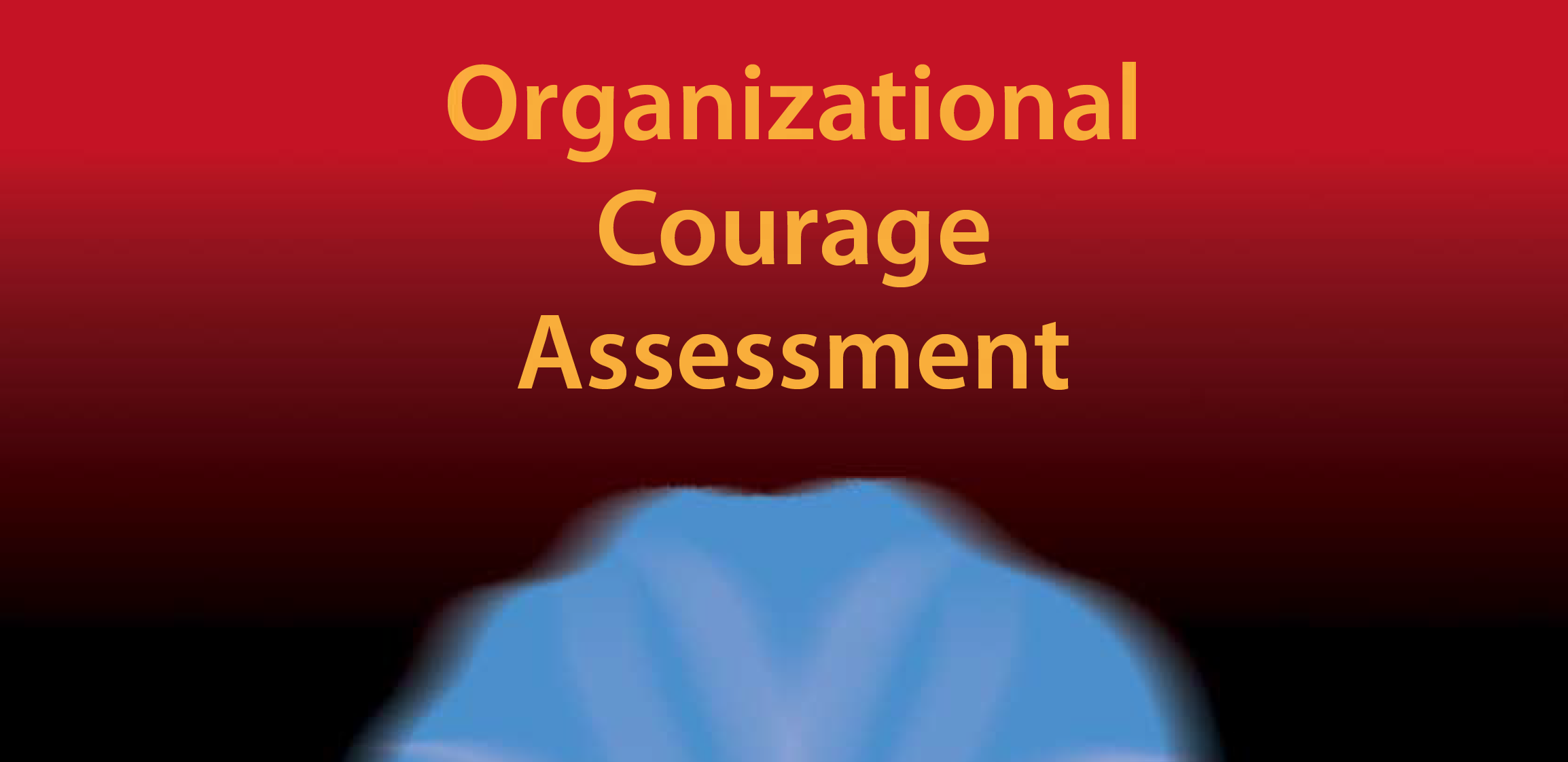 Take the Organizational Courage Assessment From Kilmann Diagnostics